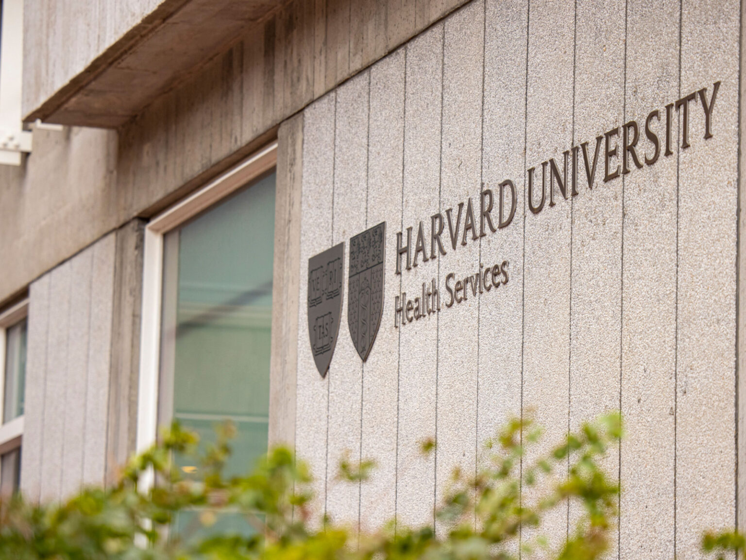 How to Secure a Full-Ride Scholarship to an Ivy League School ...