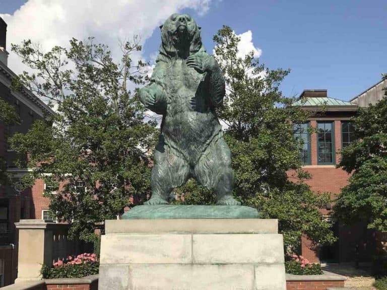 What Makes Brown University Unique? – College Reality Check