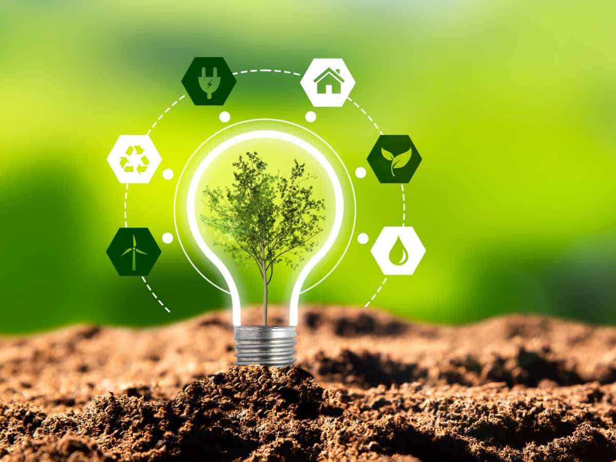 Is Environmental Science a Good Degree? – College Reality Check