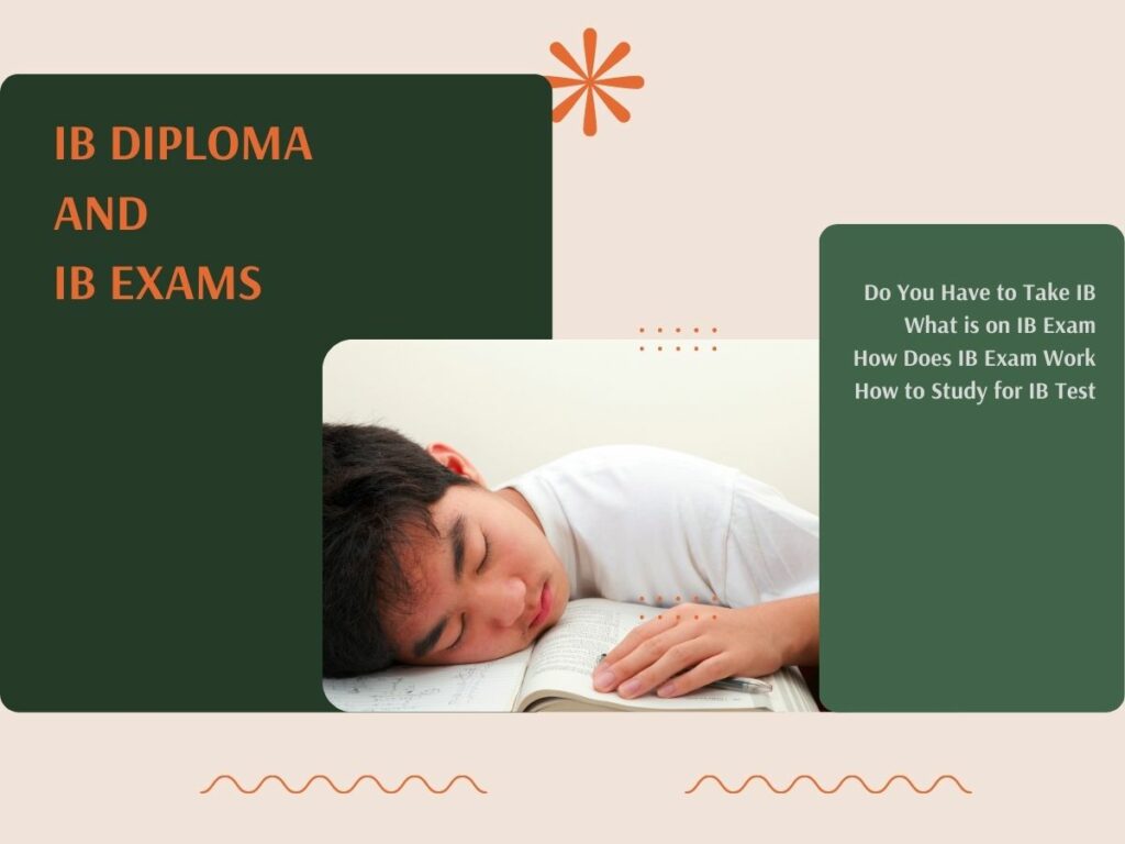 Your Comprehensive Guide to Mastering the IB Diploma and Exams ...