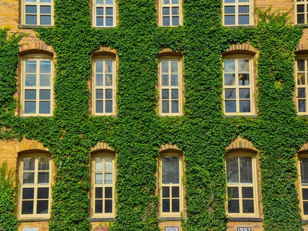 Ivy or Not? Stanford, MIT, Duke and other top schools – College Reality ...