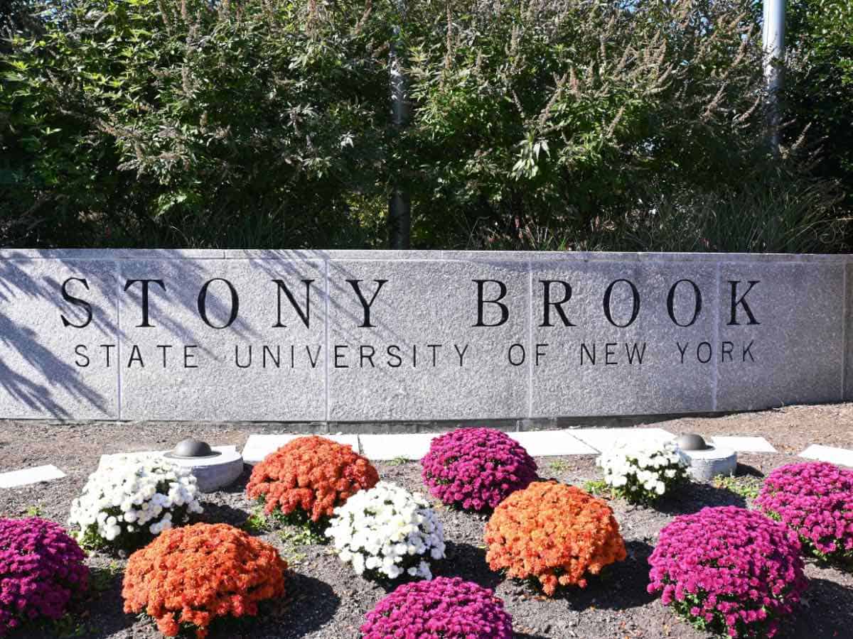 Little Ivies – College Reality Check